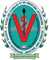 Formation à distance – Formations AUF