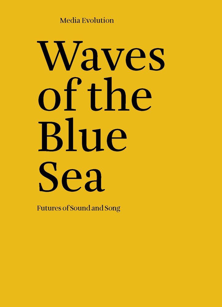 Media Evolution | Waves of the Blue Sea